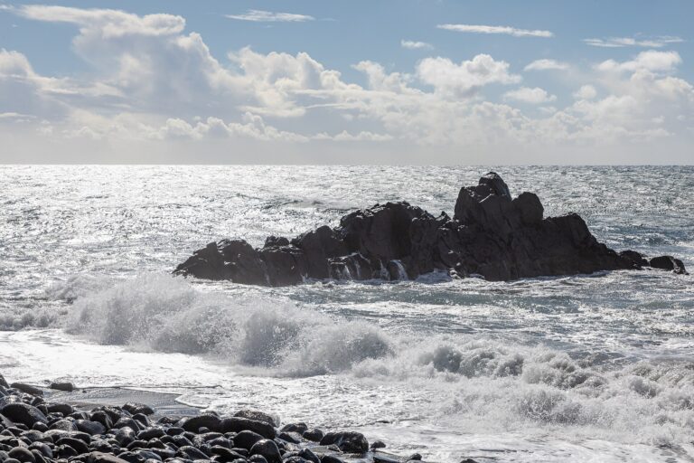 Madeira Travel Guide 2026: Levadas, Costs, 7-Day Plan